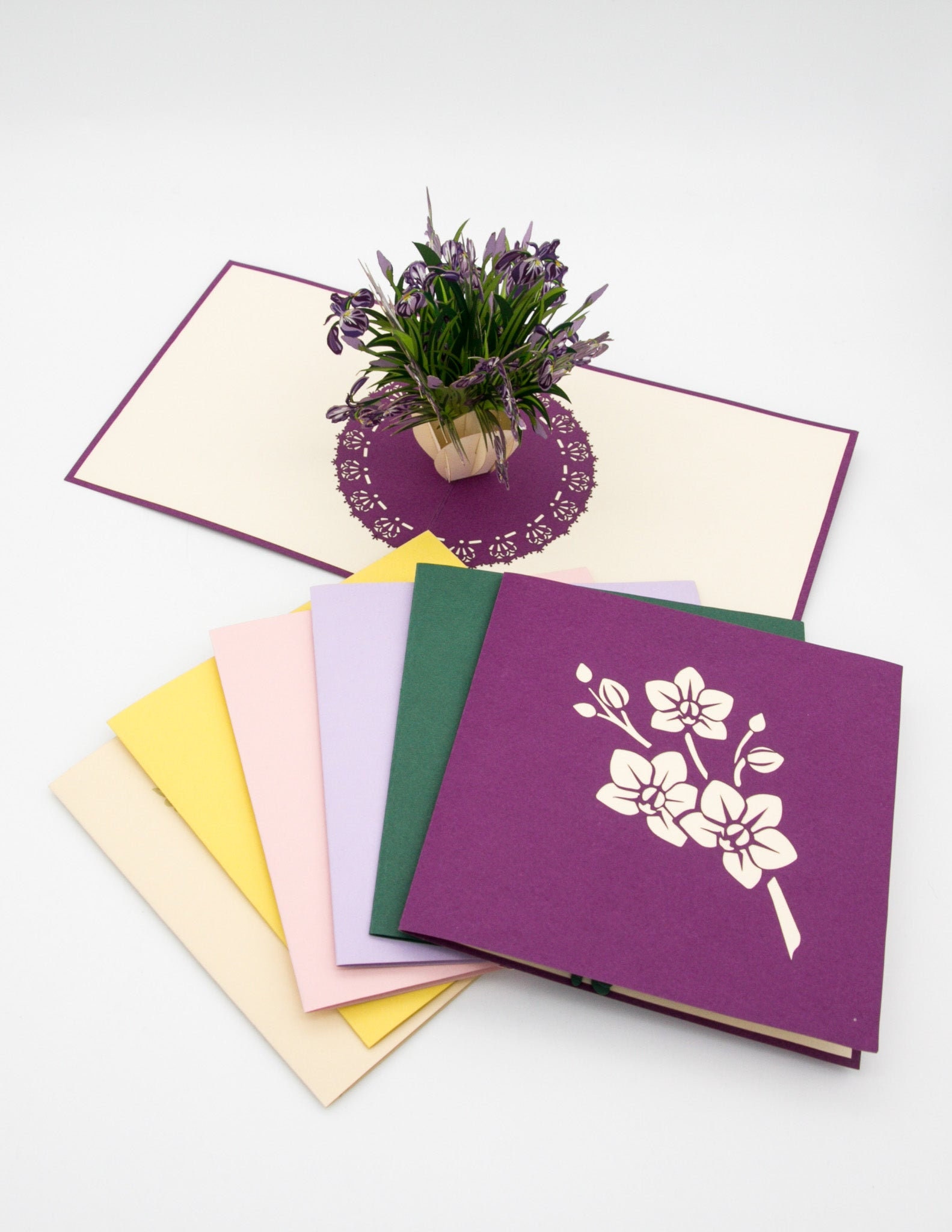 Vietnamese Pop-up Cards - Etsy