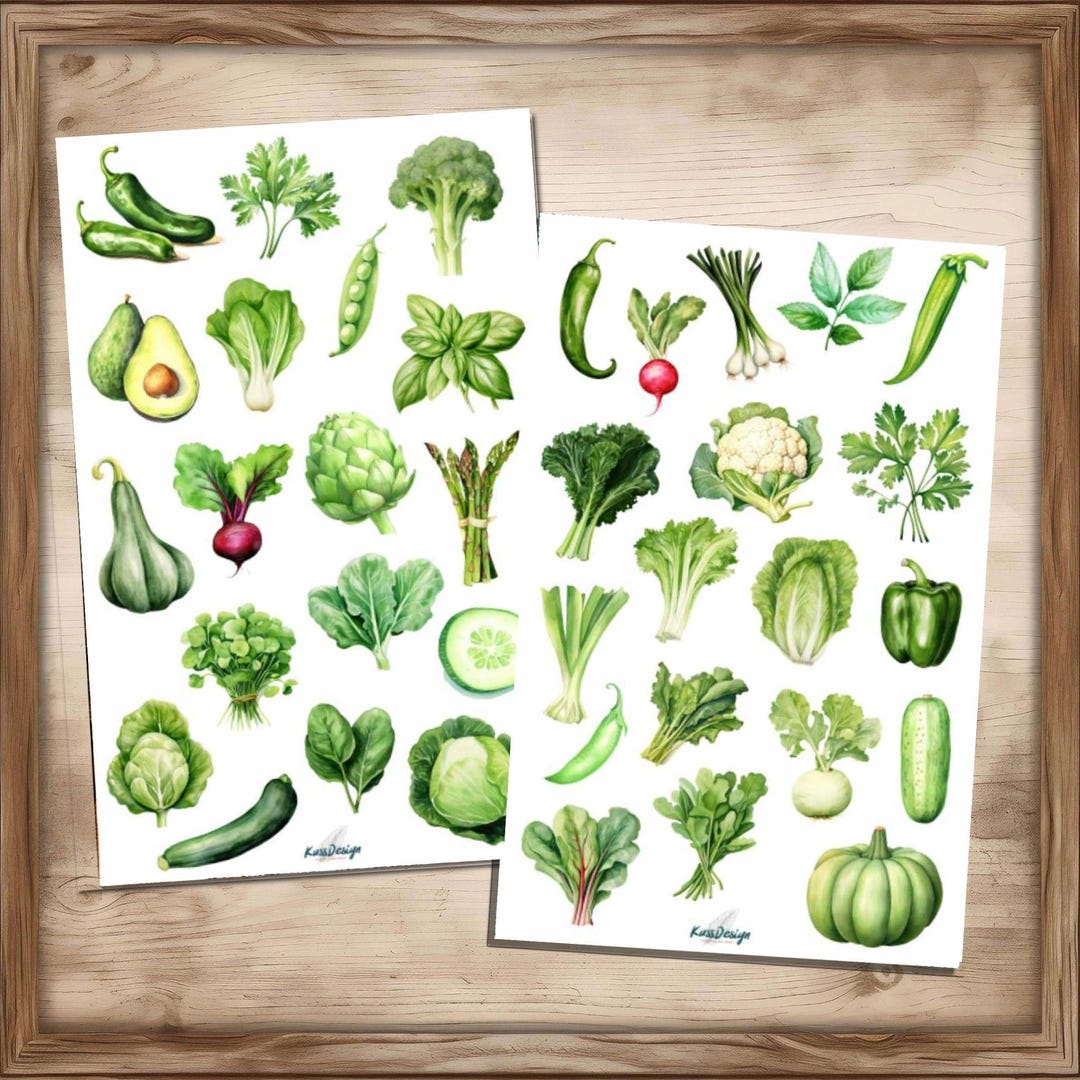 Sticker Set Green Vegetables and Salad - Etsy