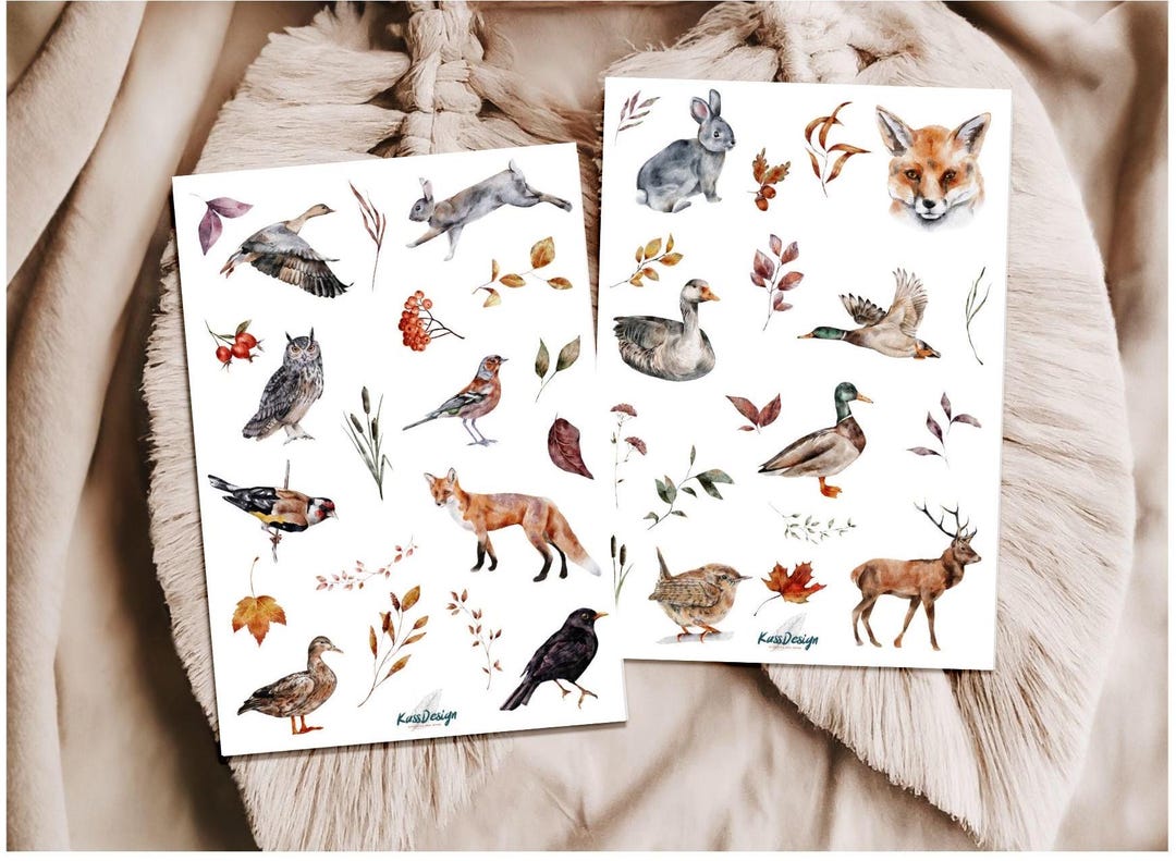 Sticker Set Forest Animals - Etsy