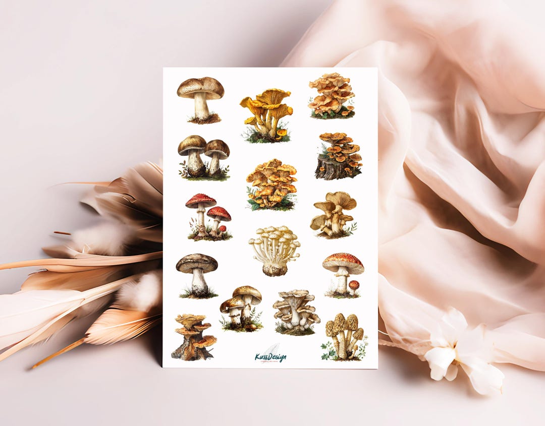 Vintage Mushroom Sticker Sheet - Etsy
