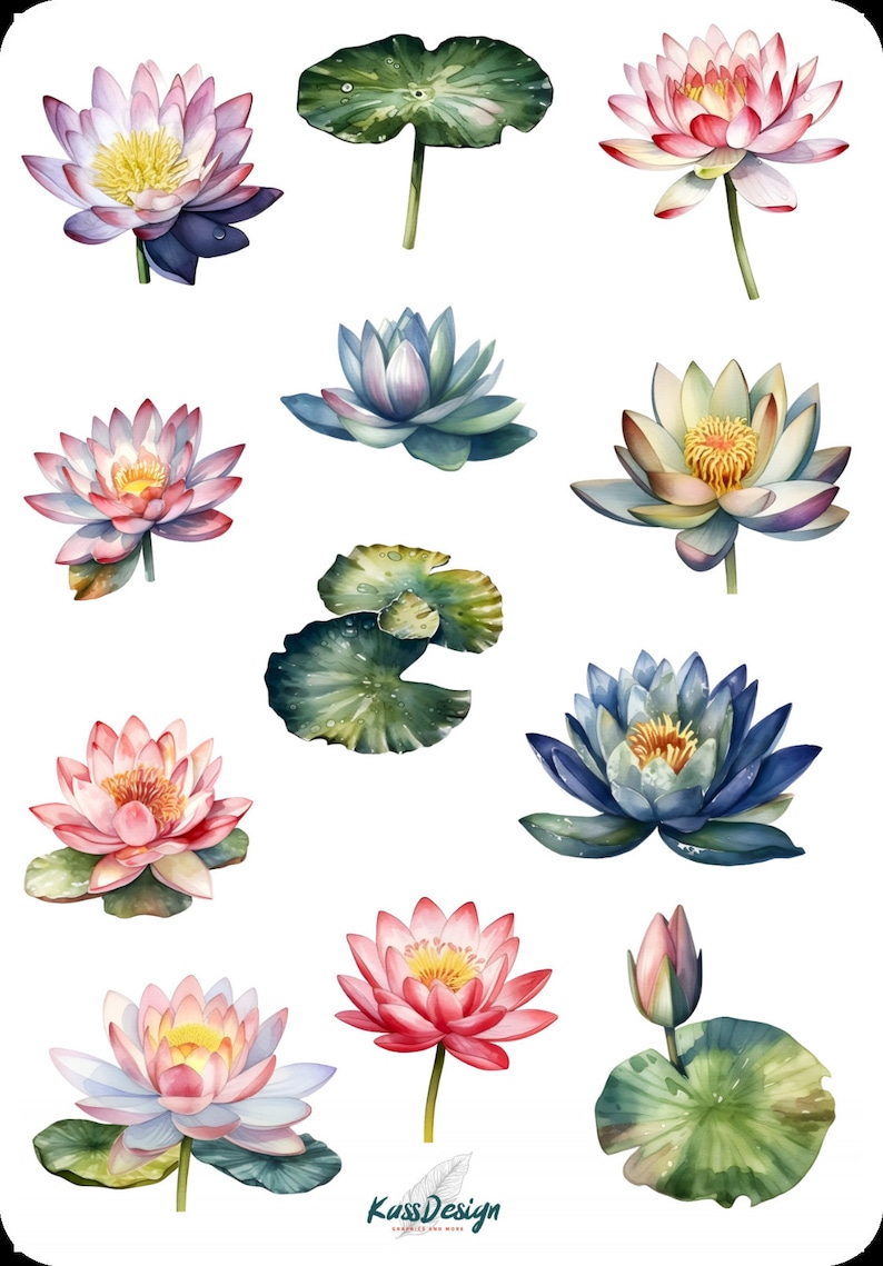 Sticker Set, Water Lilies Flowers Plants Aquatic Plants Nature Summer ...