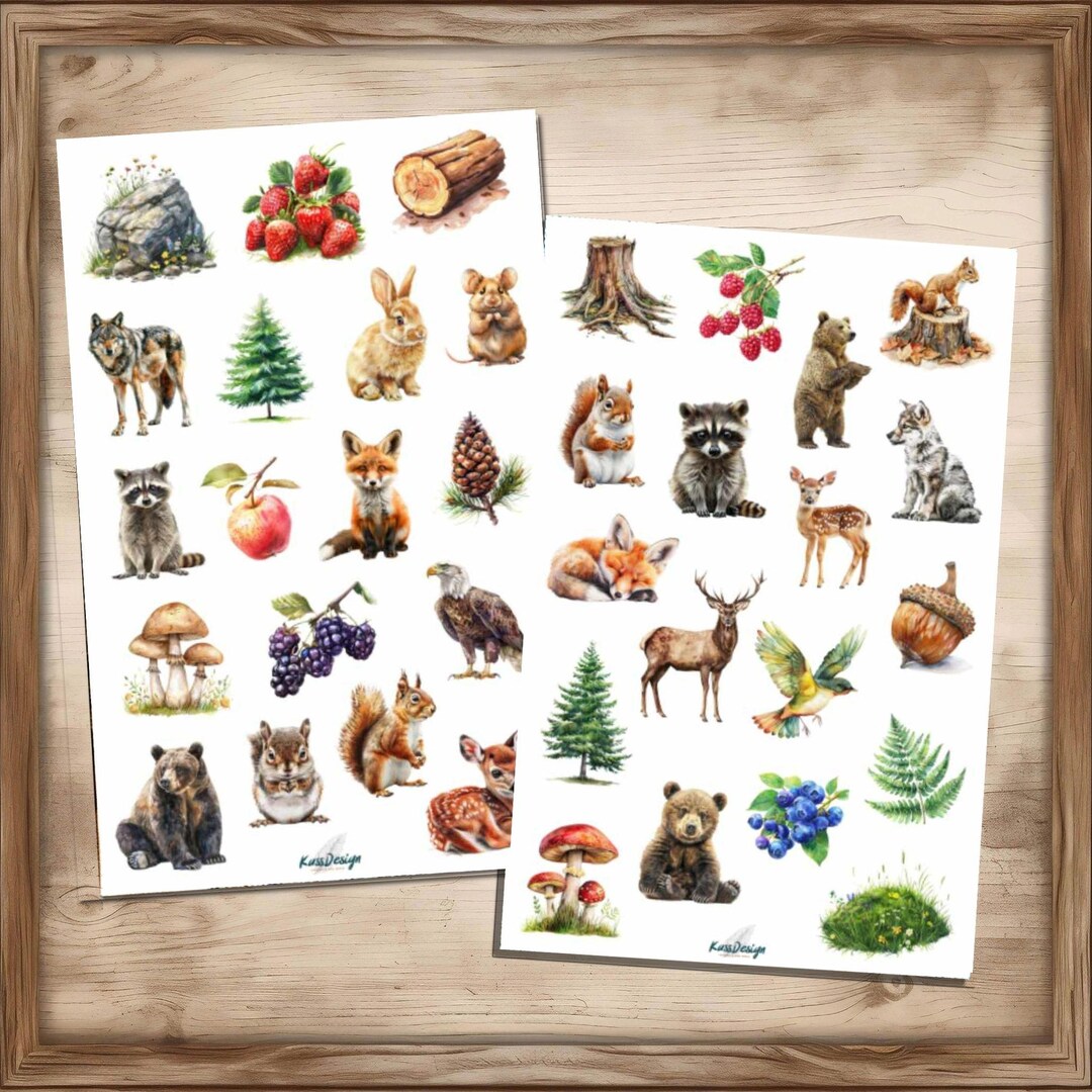 Sticker Set of Forest Animals and Plants - Etsy