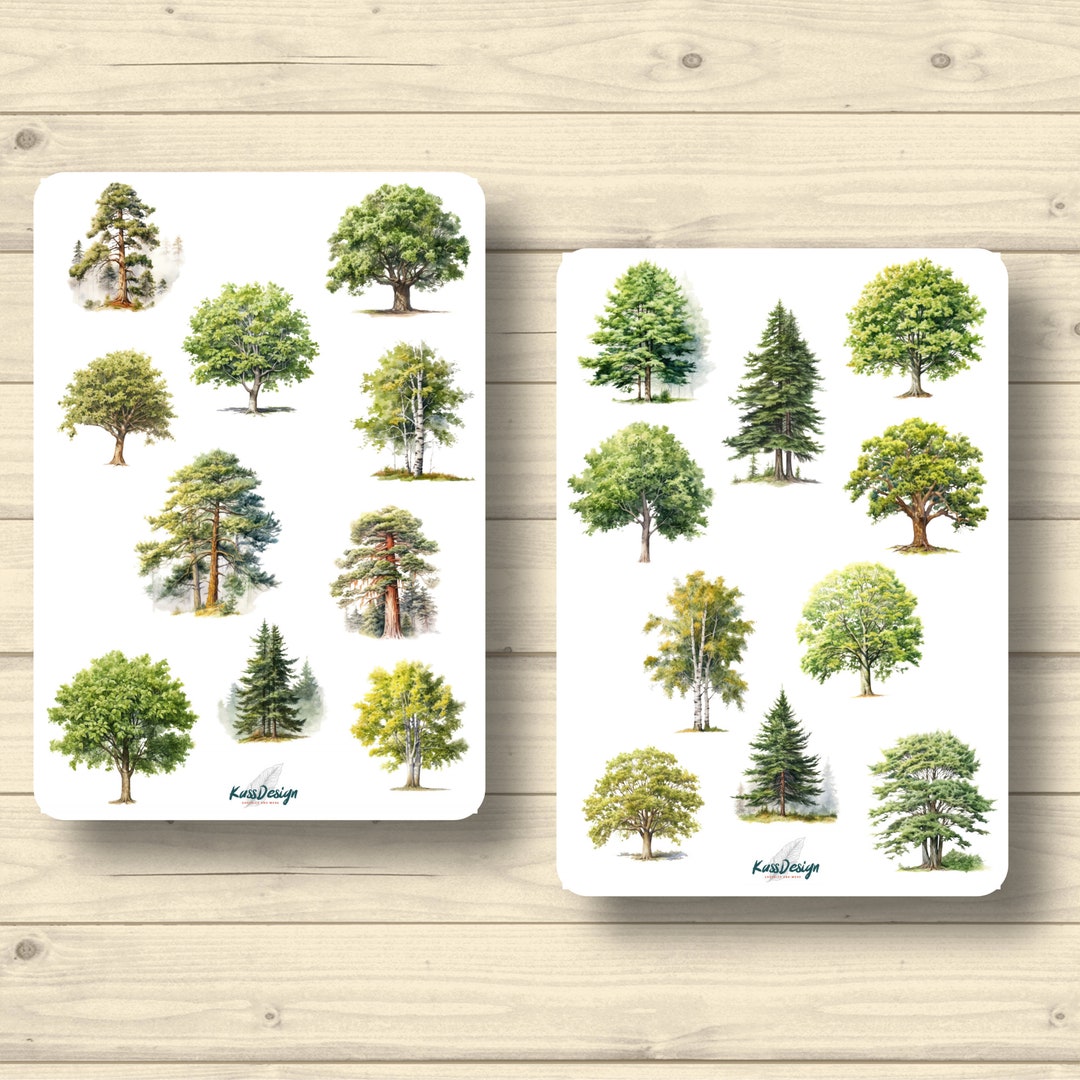 Sticker Set Trees Deciduous Trees Coniferous Trees - Etsy