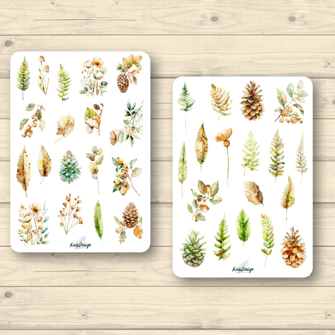 Sticker Set Forest Plants Ferns Cones - Etsy