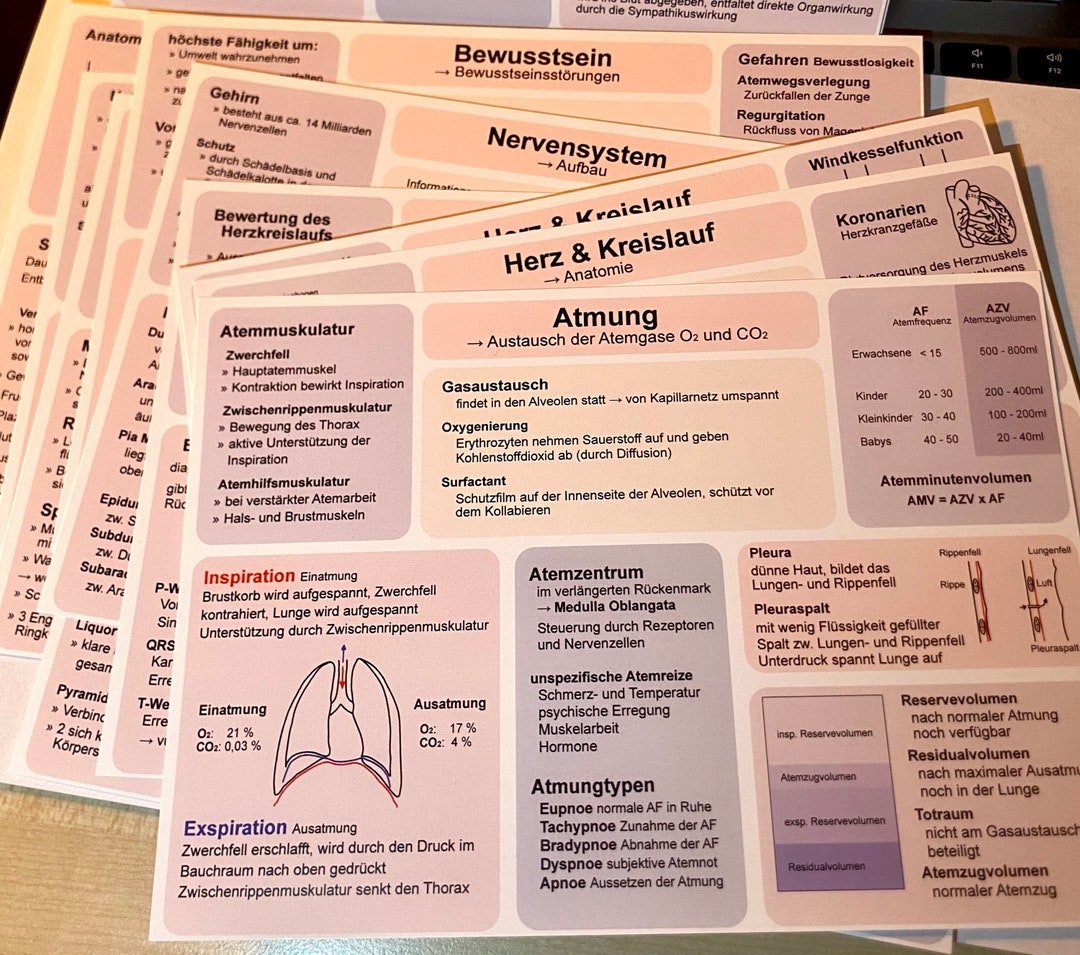 Rettungssanitäter Lernkarten Prüfungsvorbereitung RetSan - Etsy.de