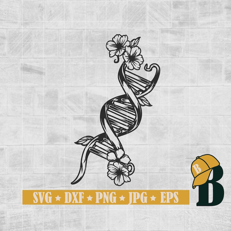 Molécula de ADN Svg Png, ADN genético Svg, ADN de flor Svg, doble ...