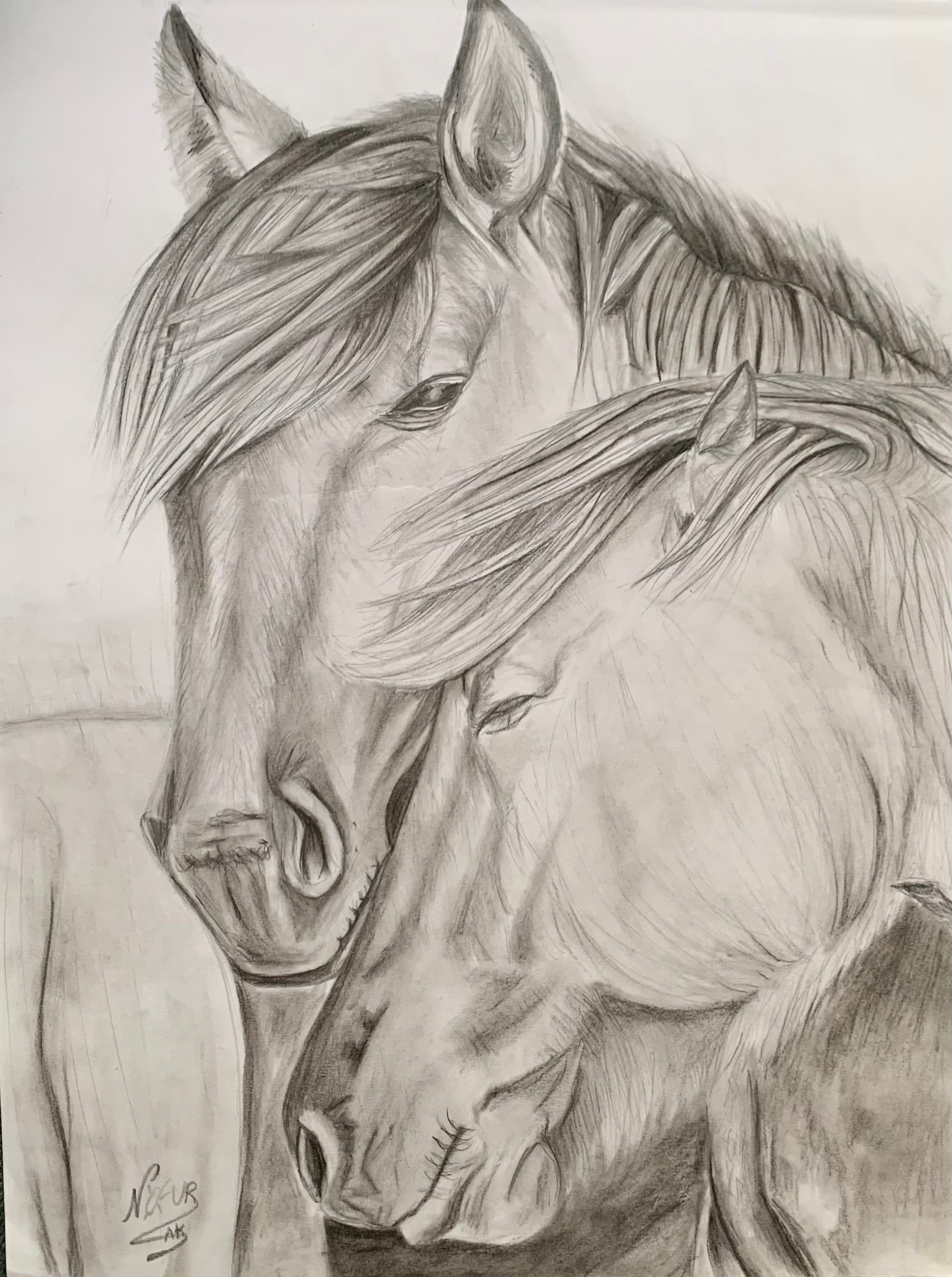 Two Horses Drawing - Etsy