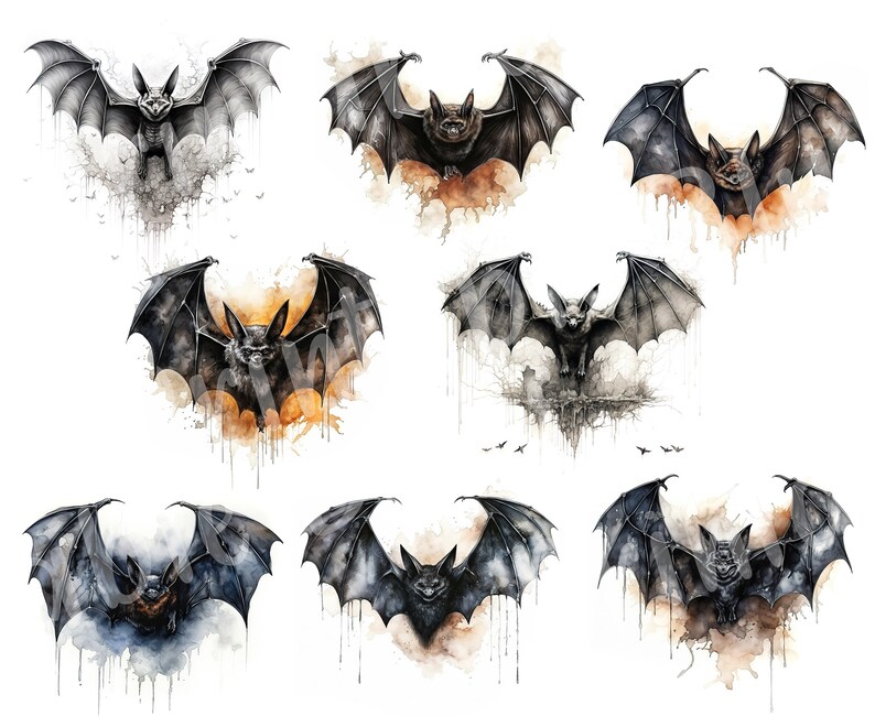 Spooky Bat Watercolor Clipart: Halloween Graphics (14 JPG, Commercial ...