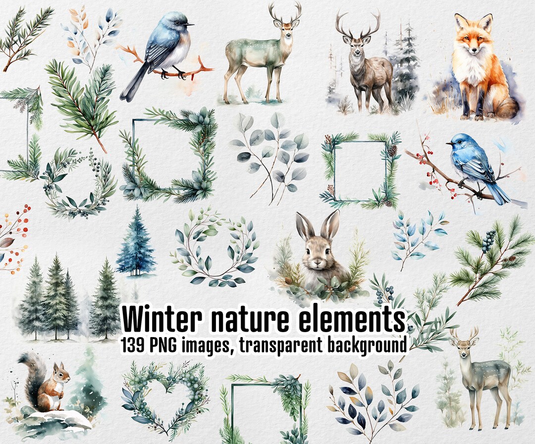 139 Winter Clipart, Nature Elements, Christmas Tree Illustrations ...