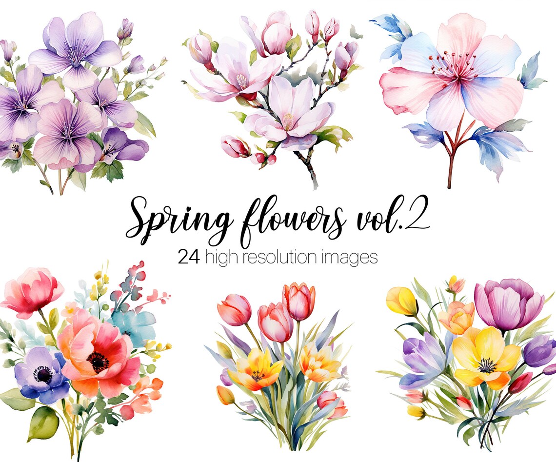 Spring Flowers Clipart, Watercolor Floral Illustration, Tulip, Daffodil ...
