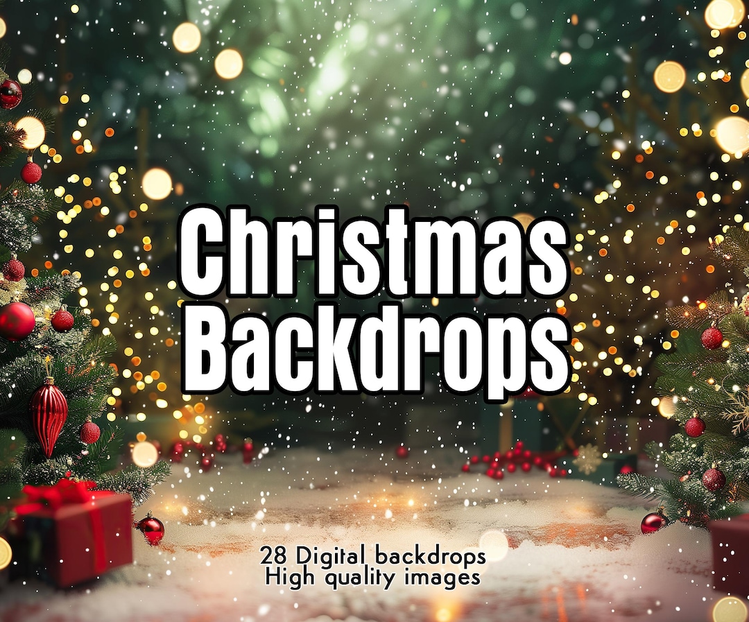 Magic Christmas Winter Photography Backdrops: Festive Holiday Scenes ...