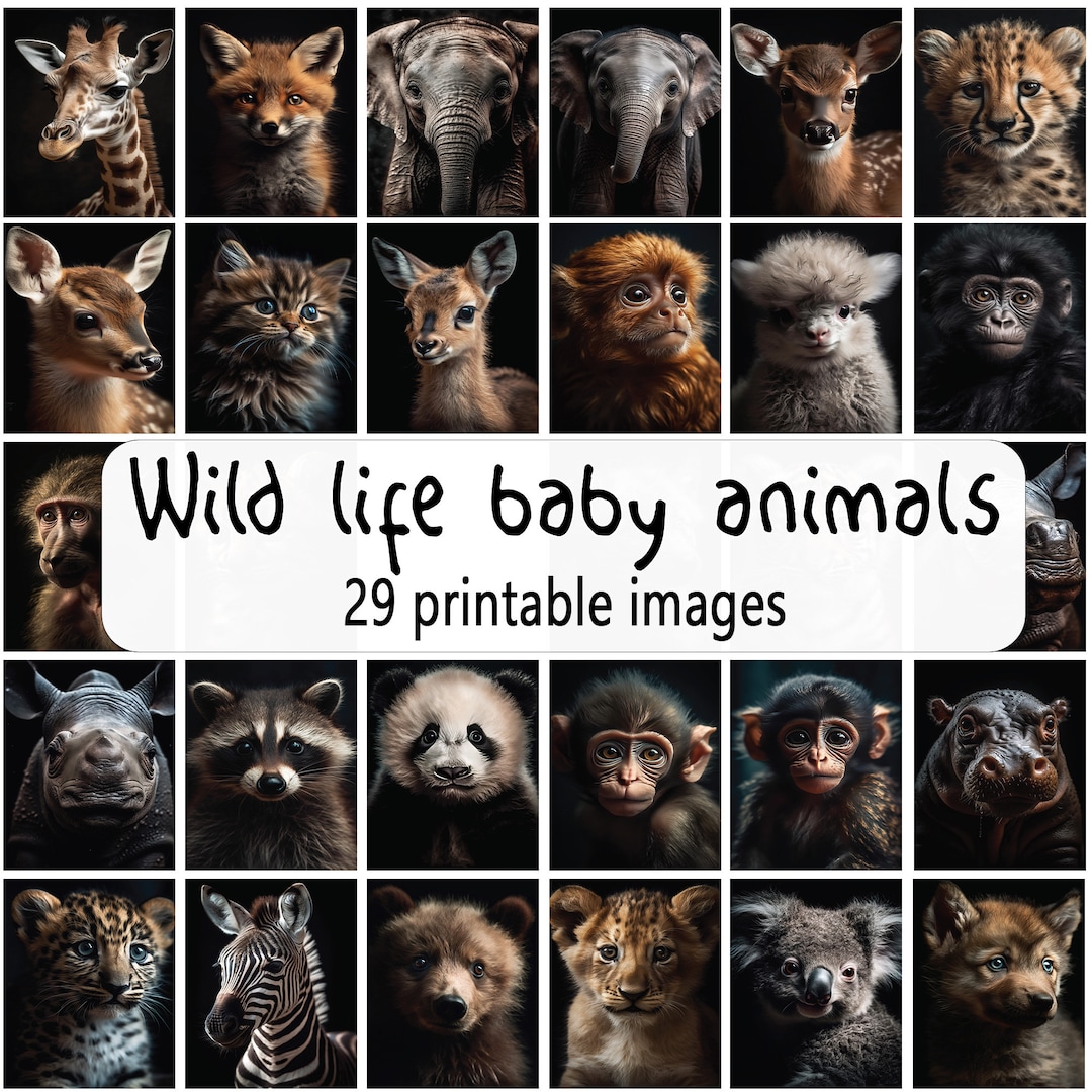 Wild Life Baby Animals, Animal Poster Set, Wild Life Wall Art, Animal ...