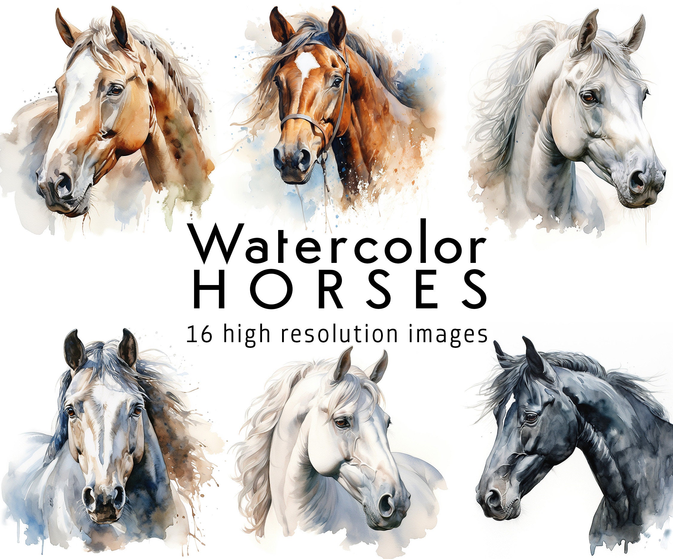 Watercolor Horse Clipart Wild Horses Illustrations Horse - Etsy