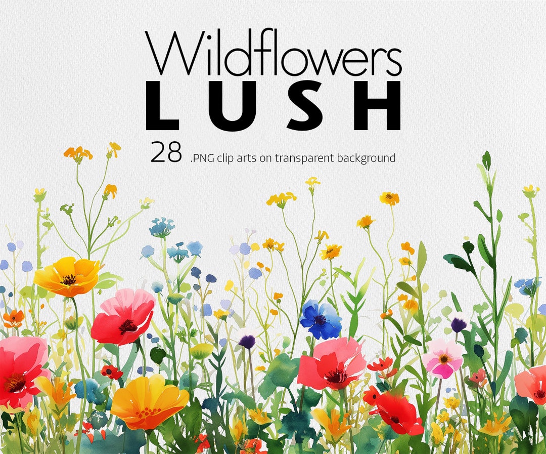 28 Wildflower Lush, Clip Art Pack, Set PNG Image, Wedding Clipart, Transparent Background ...