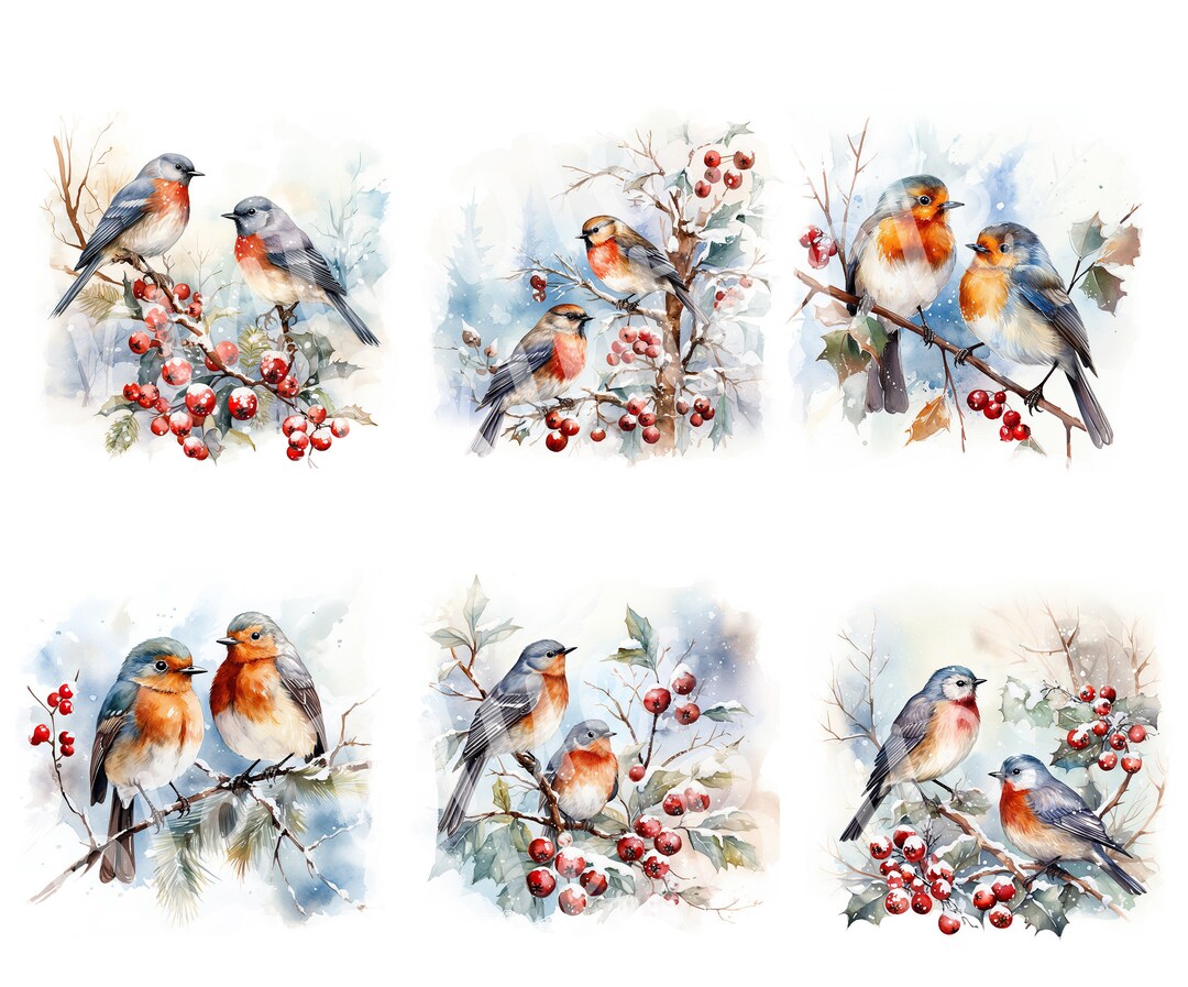 Christmas Robin Clipart Watercolor Christmas Clipart Festive - Etsy
