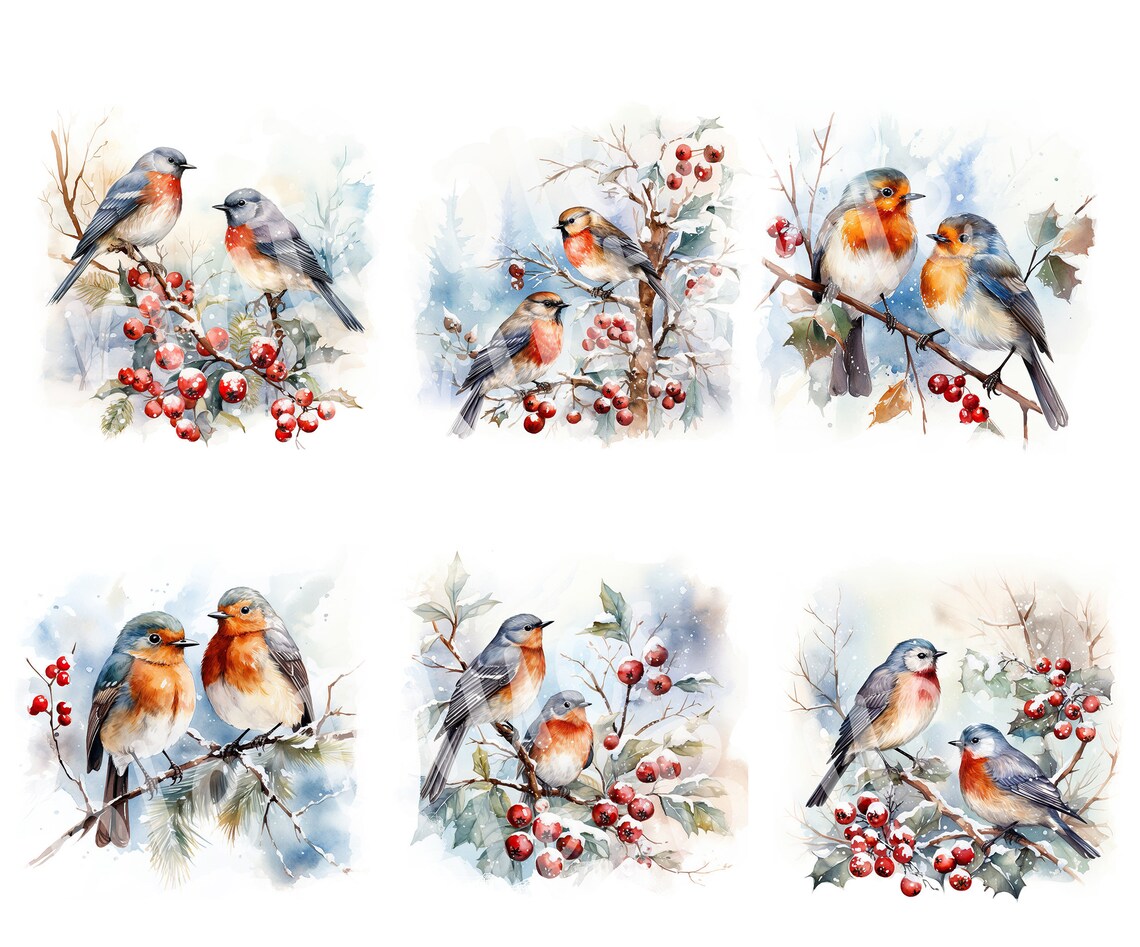 Watercolor Christmas Robin Clipart: Festive Holiday Illustrations ...