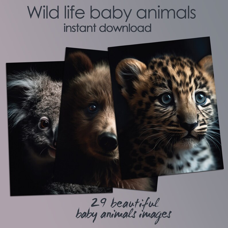 Wild Life Baby Animals, Animal Poster Set, Wild Life Wall Art, Animal ...