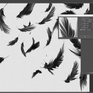 Realistic Feathers Overlay Pack, of 28 PNG Images Set , High Quality ...