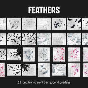 Realistic Feathers Overlay Pack, of 28 PNG Images Set , High Quality ...