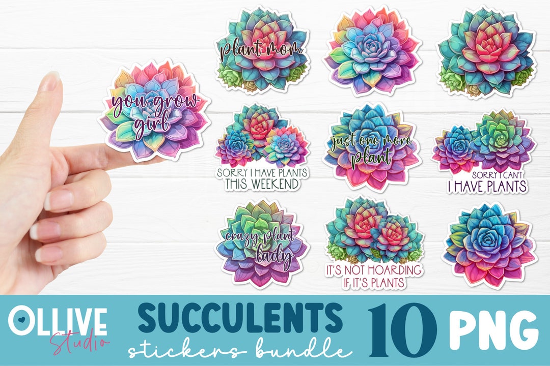 Succulent Stickers PNG Bundle | Plants Funny Stickers PNG - Etsy