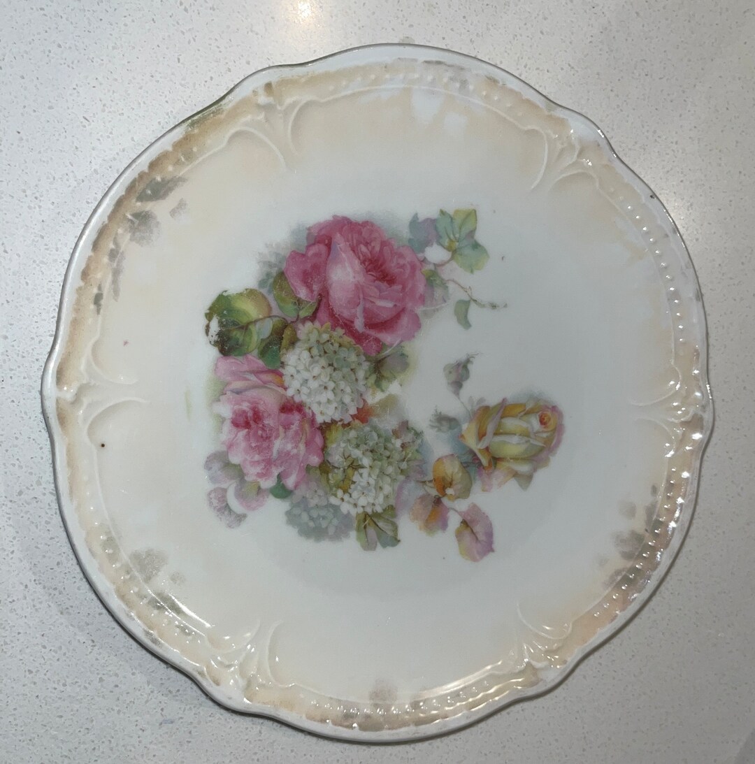 Vintage German Porcelain Hand Painted Floral Plate - Etsy
