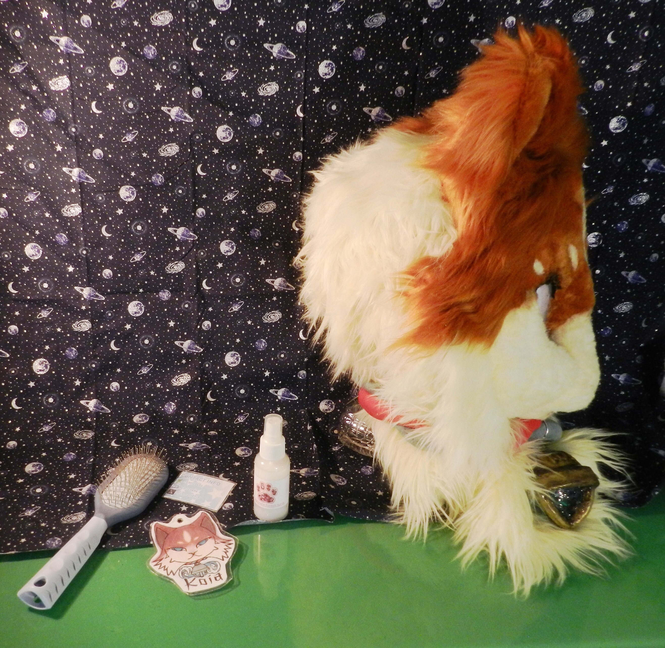 Premade Kemono Full Fursuit Digitigrade (koia the Magical Cat) - Etsy