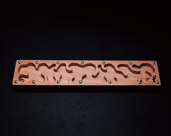 Ant Colony Founding Kit Nest Chamber Size see Image: Medium - Etsy