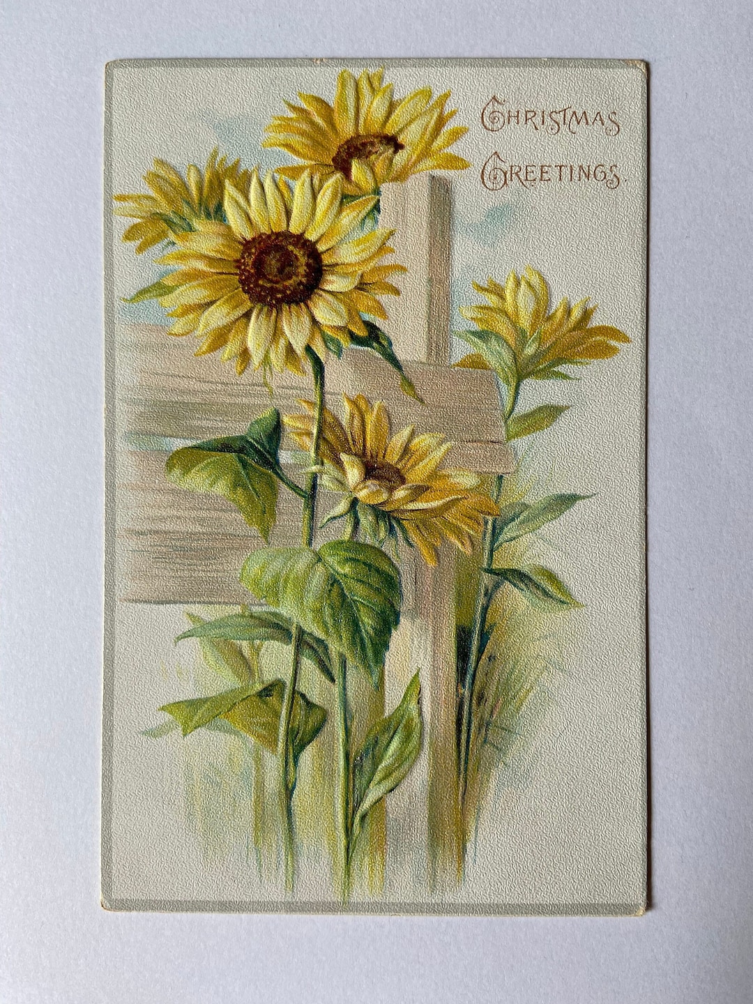 Vintage British Postcard - Raphael Tuck & Sons - Christmas Greetings - Sunflowers - Etsy