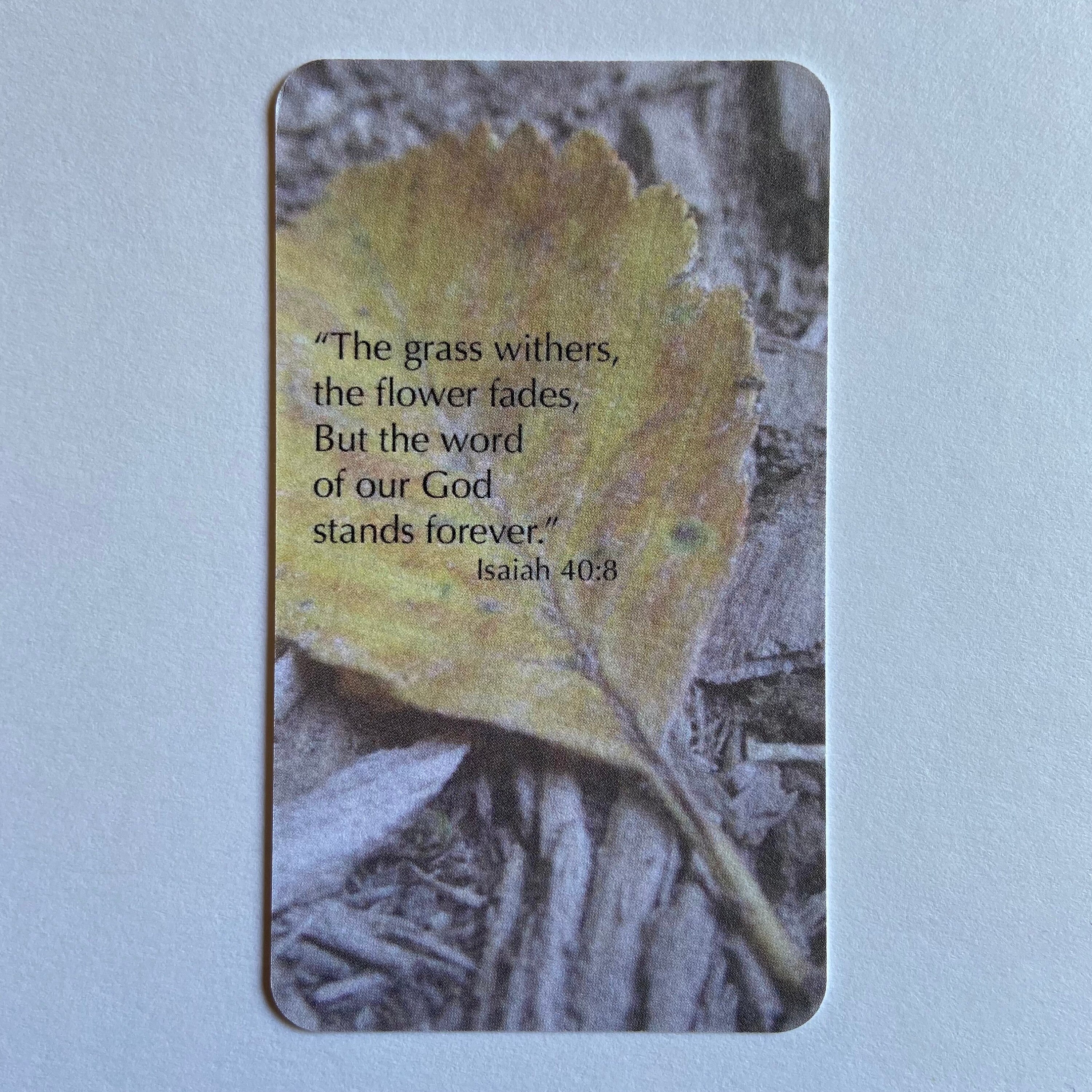 Forest Leaf With Bible Verse / Mini Poster / Bookmark / Little Note ...