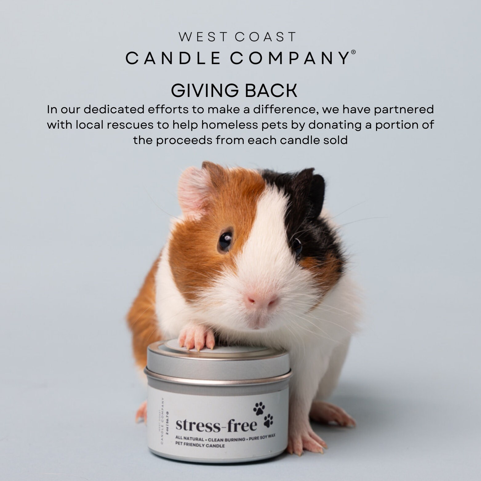 Stress-free Pet Friendly Candle Pet Safe Candle Clean Burning Candle ...