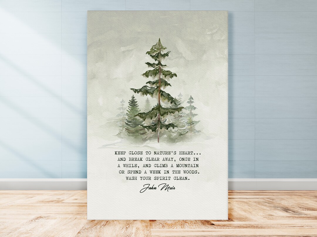 John Muir Quote Wall Art Pine Tree Woodland Wall Art Canvas Print Wall ...