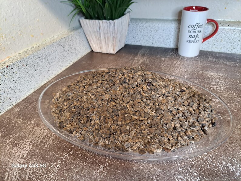 Oven Dried Iru (locust Beans) - Etsy