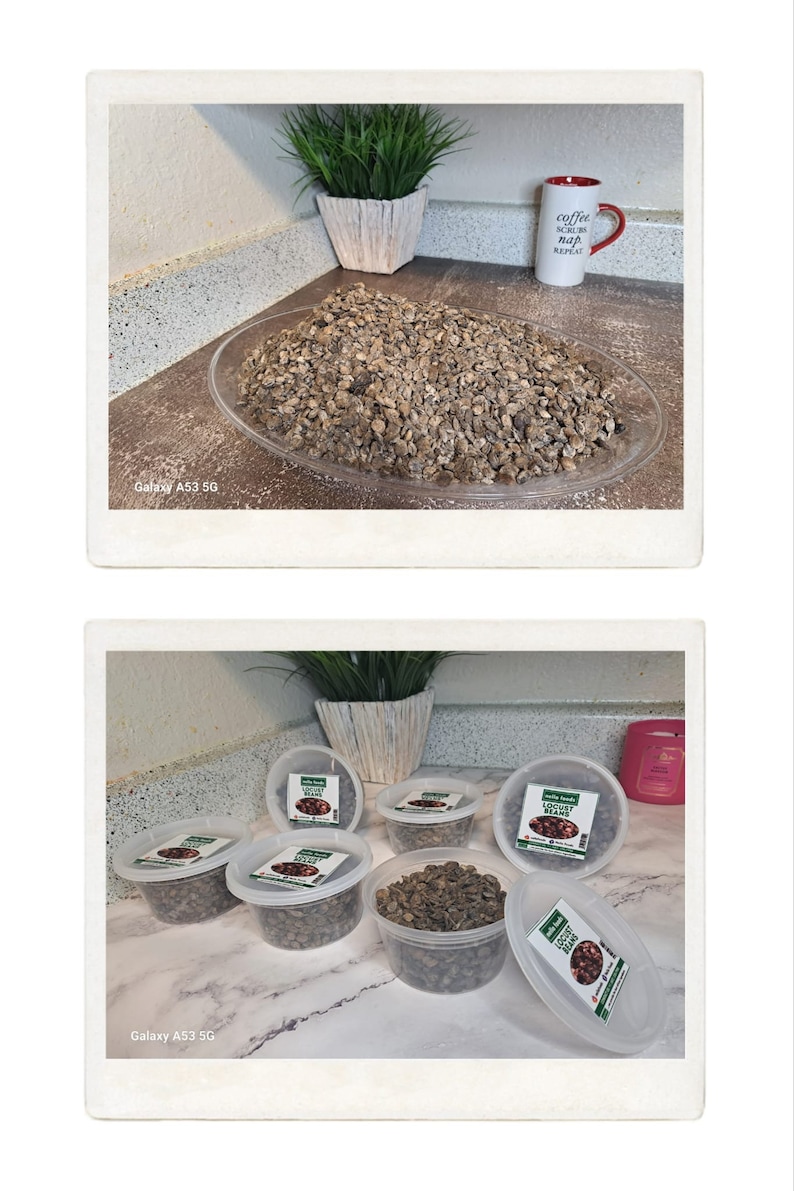 Oven Dried Iru (locust Beans) - Etsy