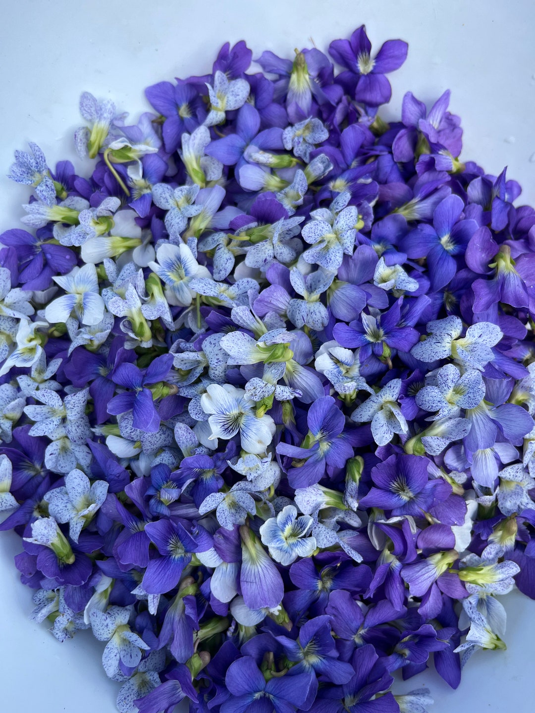 Hand Foraged Dried Violets - Etsy