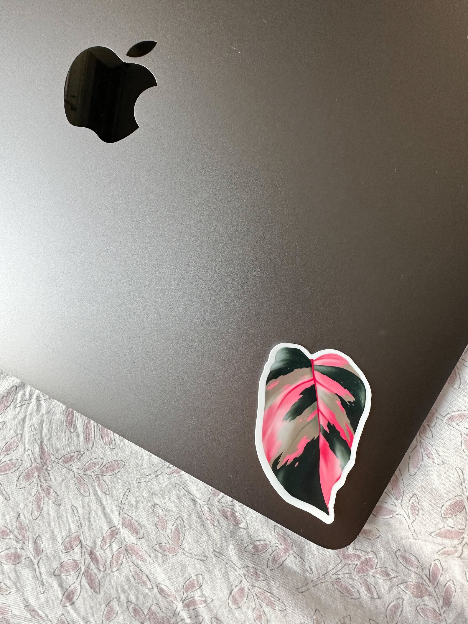 Pink Princess Philodendron Leaf Laptop Sticker Decal - Etsy