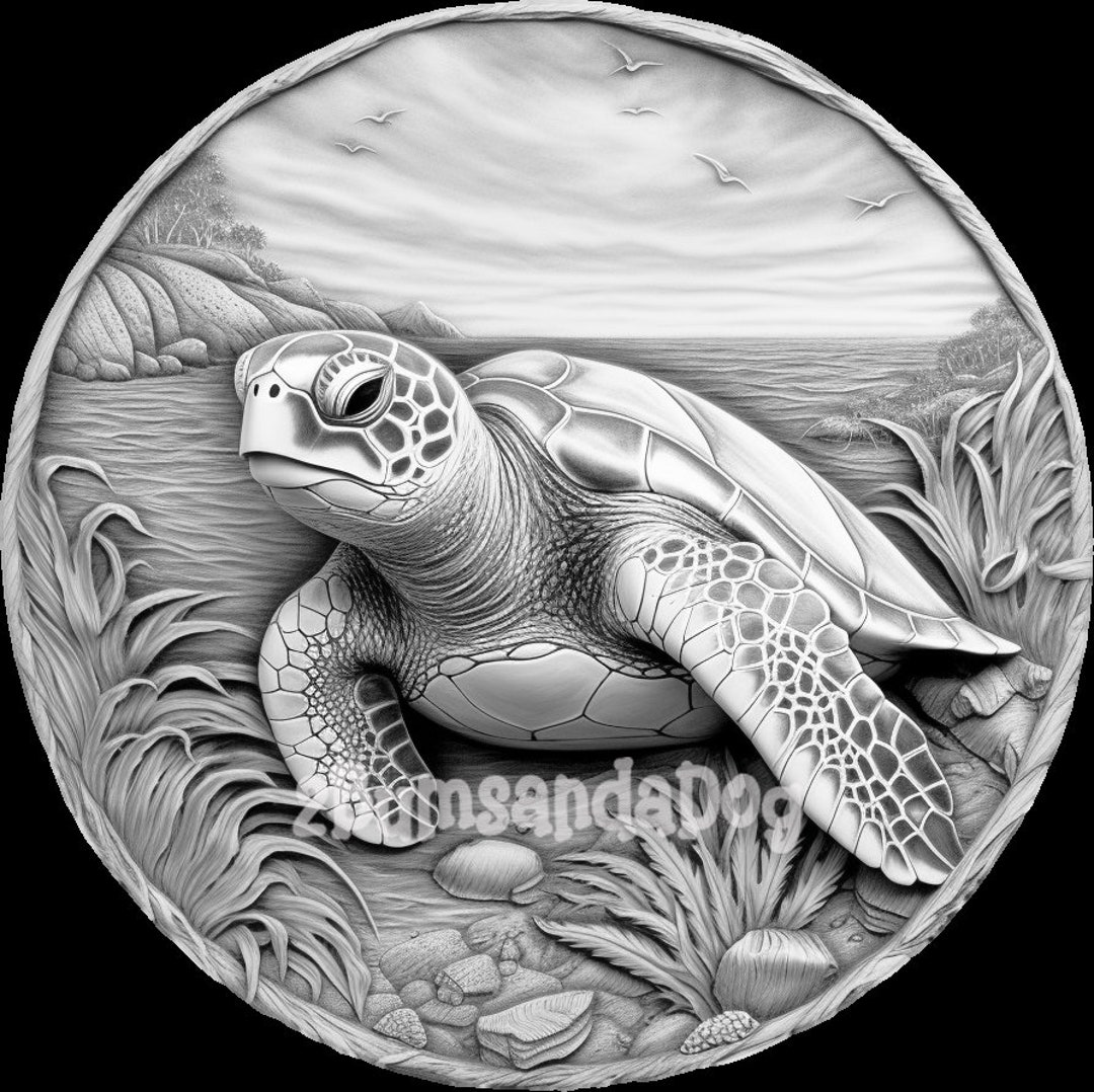 3d Illusion Sea Turtle for Laser Please Read Description Laser Ready - Etsy