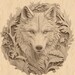 3d Illusion Wolf Surrounded by Leaves Please Read Description Laser ...