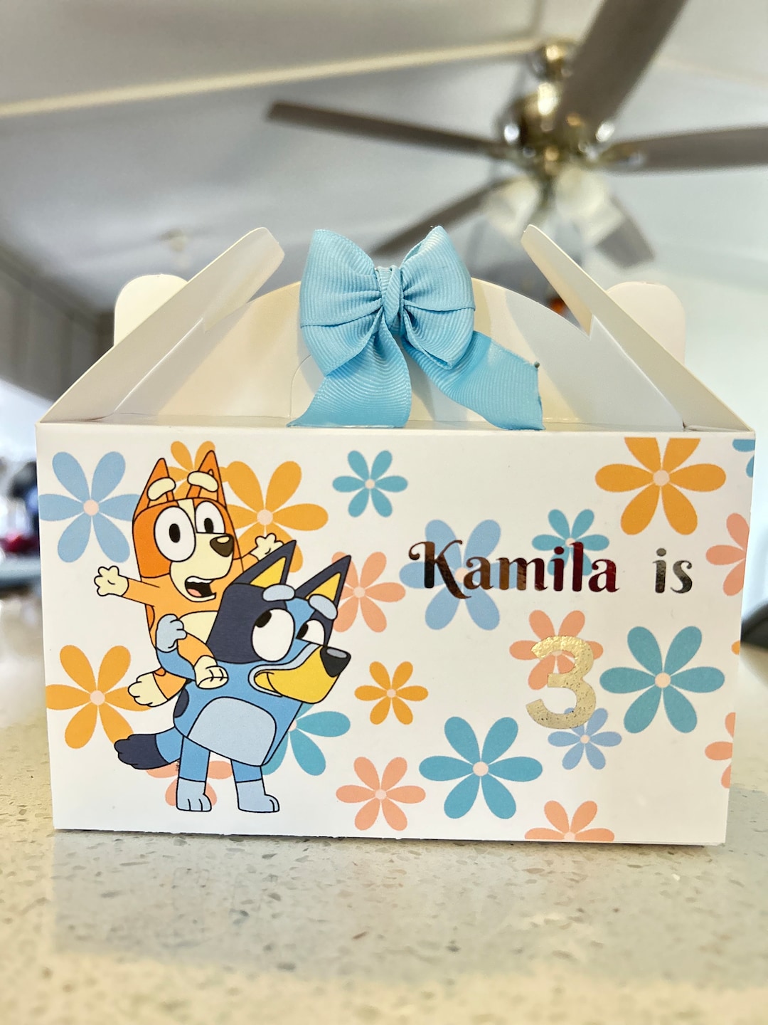 Bluey Party Boxes - Etsy