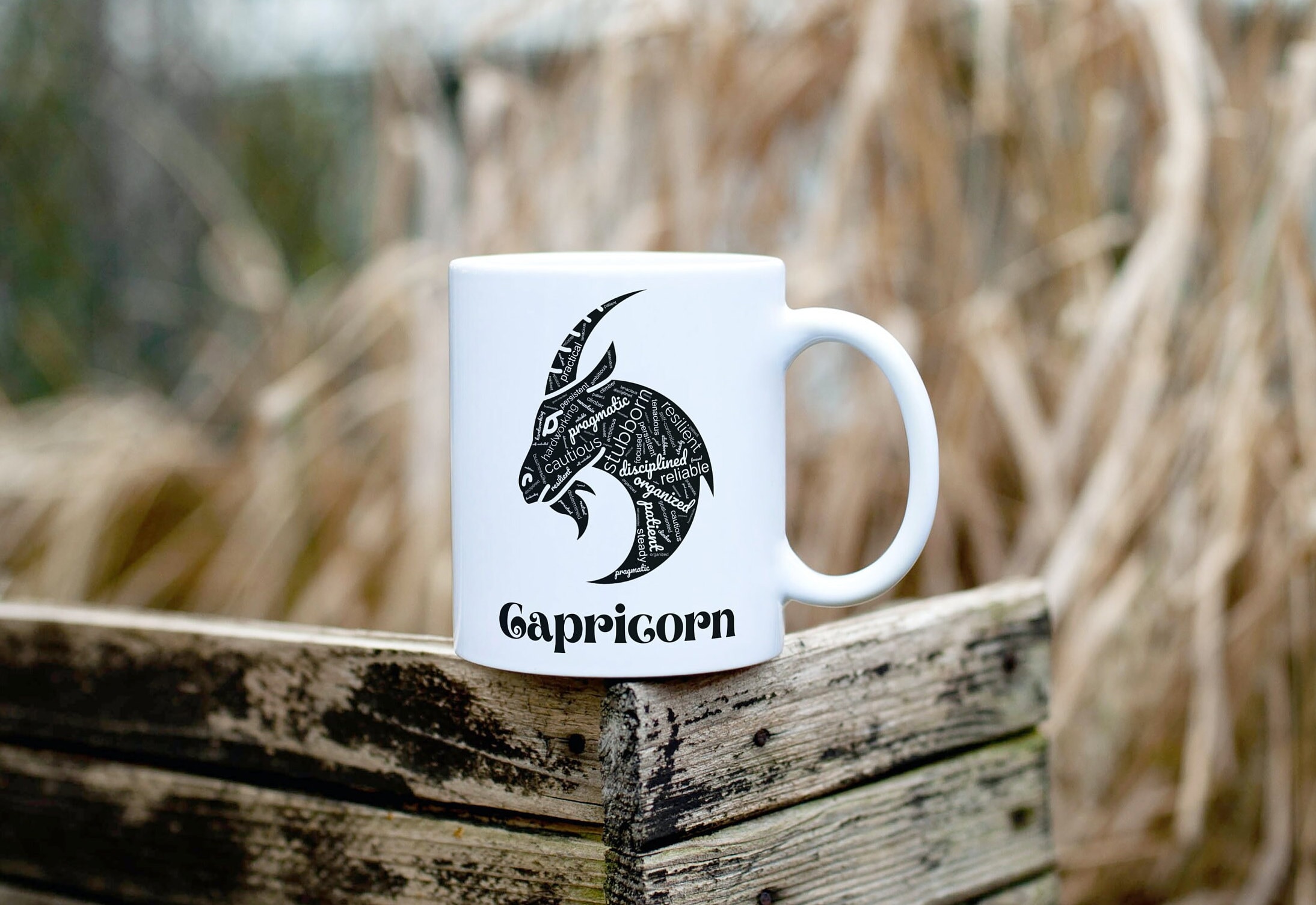 Capricorn Mug Gift for Capricorn Birthday Gift for Capricorn Zodiac ...