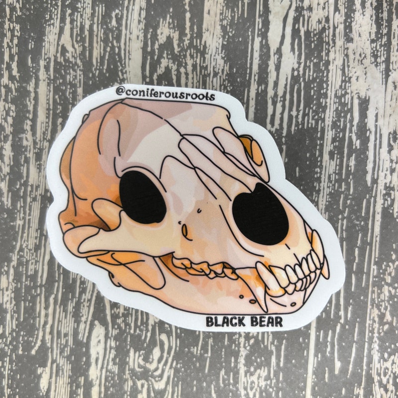 Animal Skull - Etsy