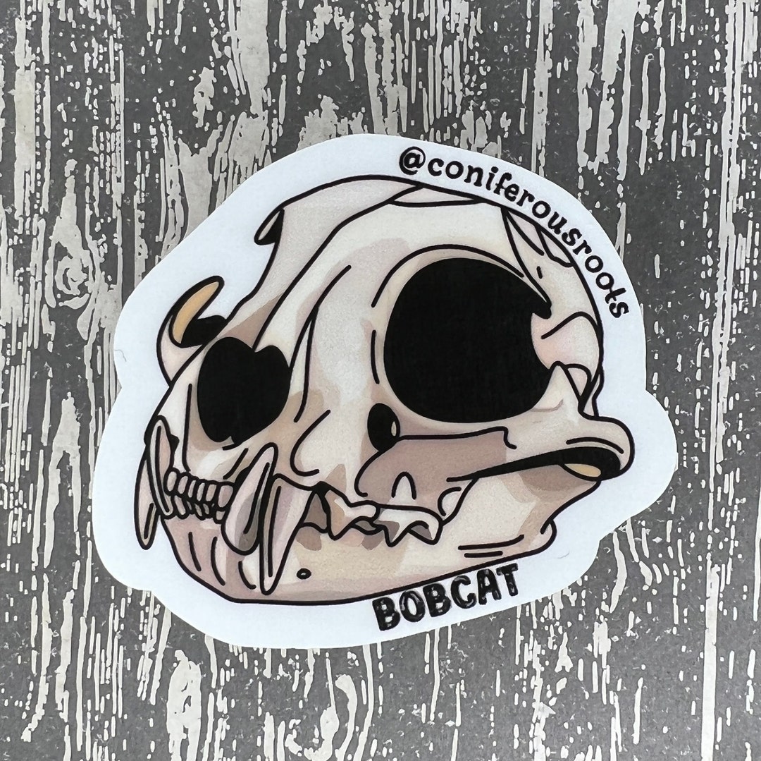 Bobcat Skull Weatherproof Glossy Sticker Skull, Animal Skull, Skeleton ...