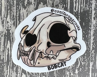 Wild Cat Skull - Etsy