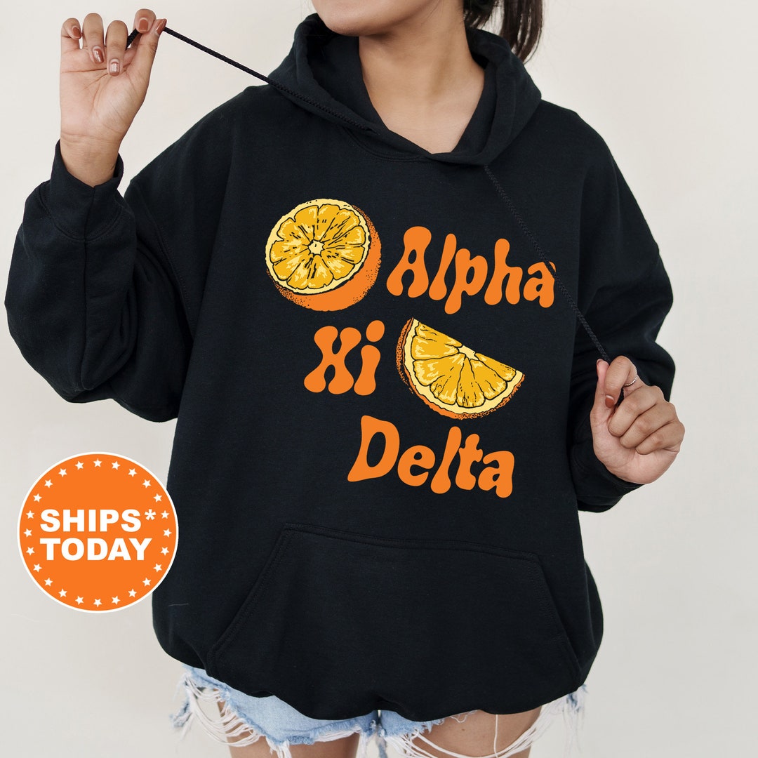 Greek Letter Clothing Alpha Xi Delta Sorority Sweatshirt - Pink Arch ...