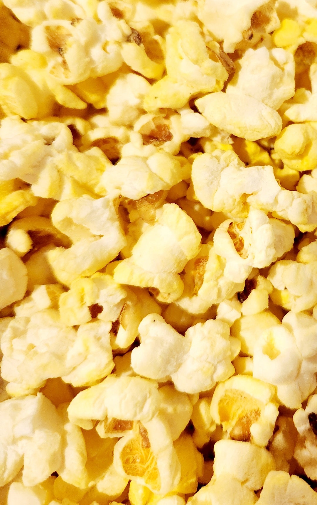 Sour Cream and Chive Flavored Popcorn, Savory Popcorn, Party Favors ...