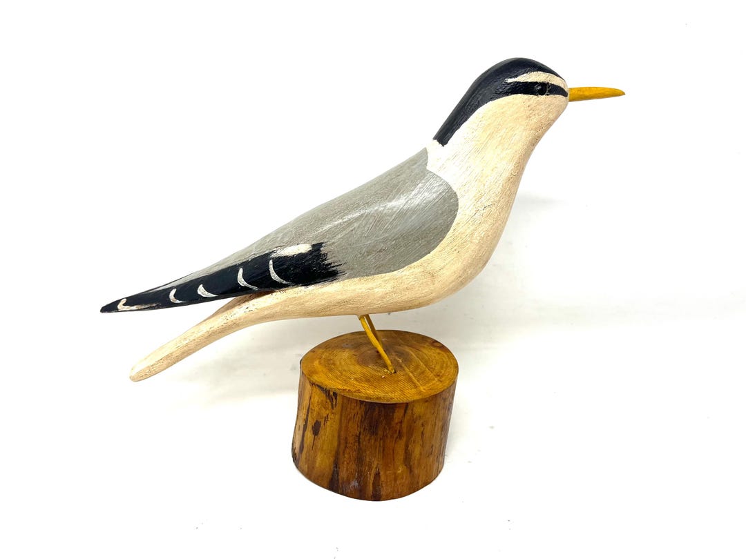 Hand Carved Least Tern Statue: Folk Art Wood Carving Signed by Jim ...
