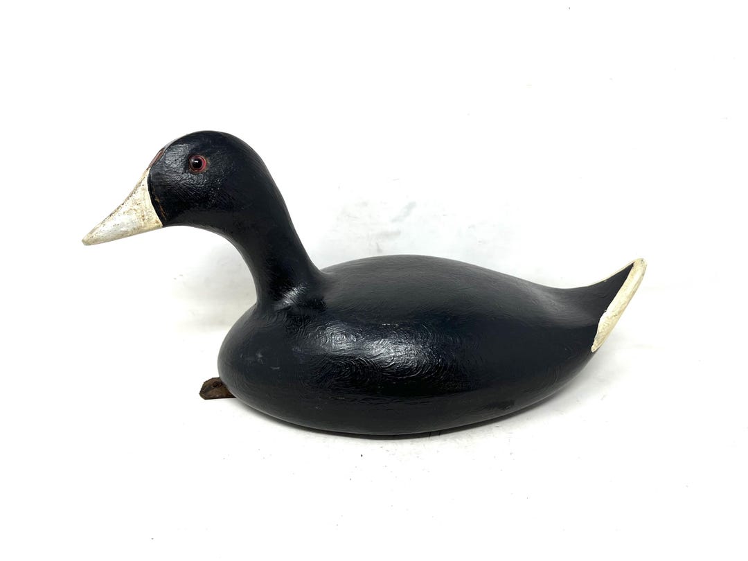 Hand Carved American Coot Decoy: Jim Slack Wood Carving - Etsy