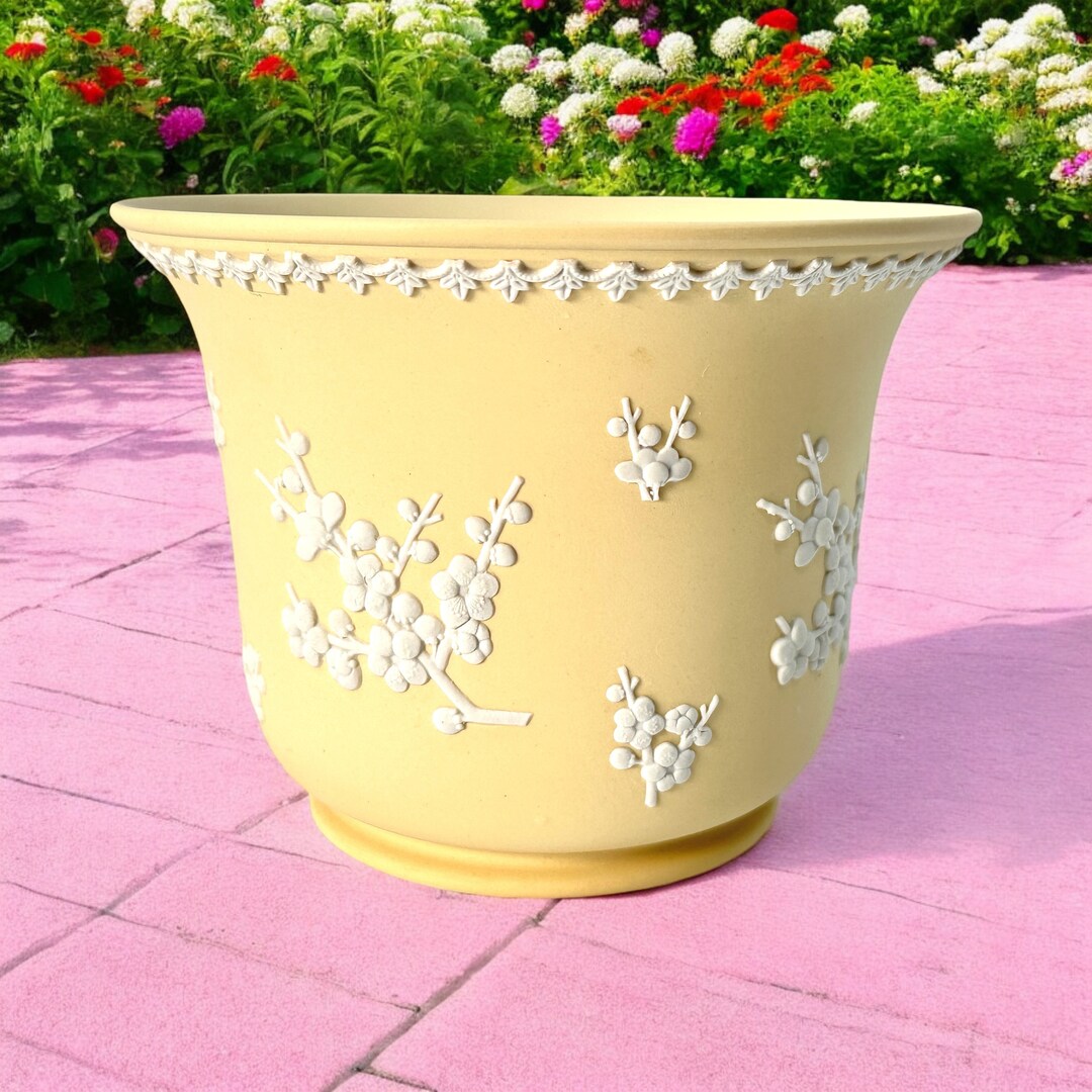 Wedgwood Primrose Yellow Jasperware Prunus Planter Bowl - Etsy