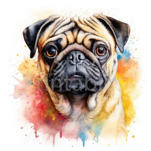 Pug Pet Dog Clipart - 12 High Quality Jpgs + Bonus Files- Digital ...