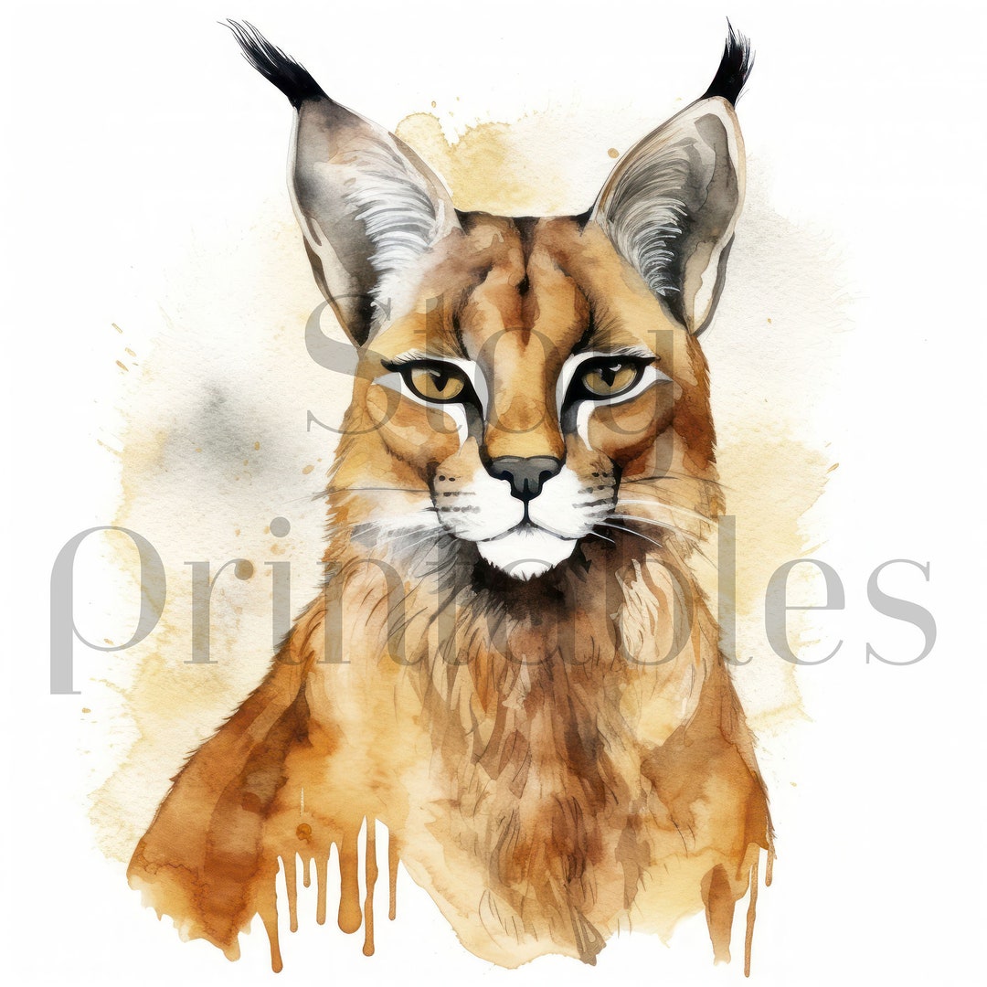 Caracal Wild Life Jungle High Quality Pngs - Best for Card Making, Clip ...