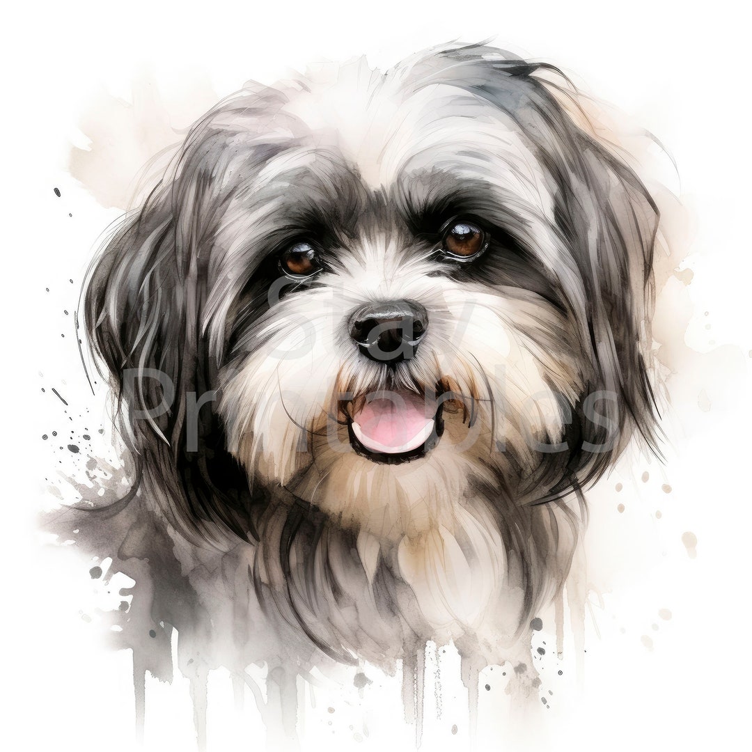Shih Tsu Pet Dog Clipart - 12 High Quality Jpgs + Bonus Files- Digital ...